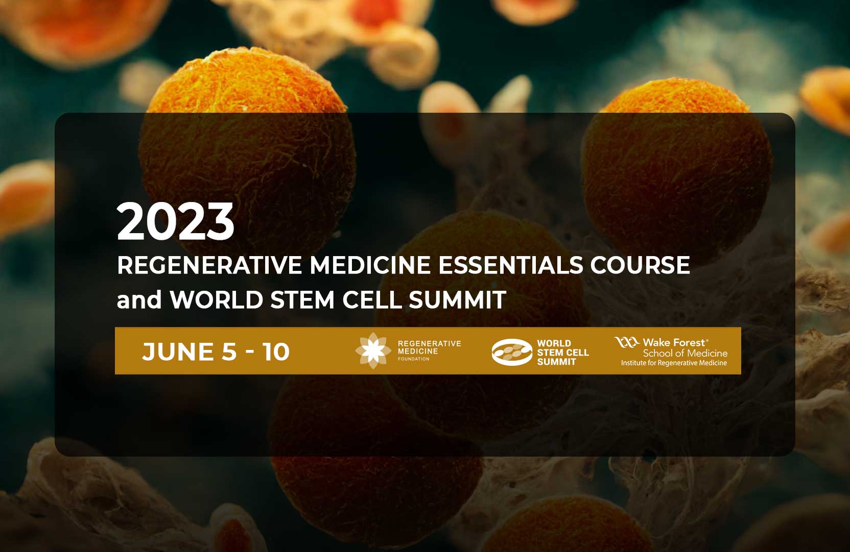 2023 World Stem Cell Summit - Video Archive